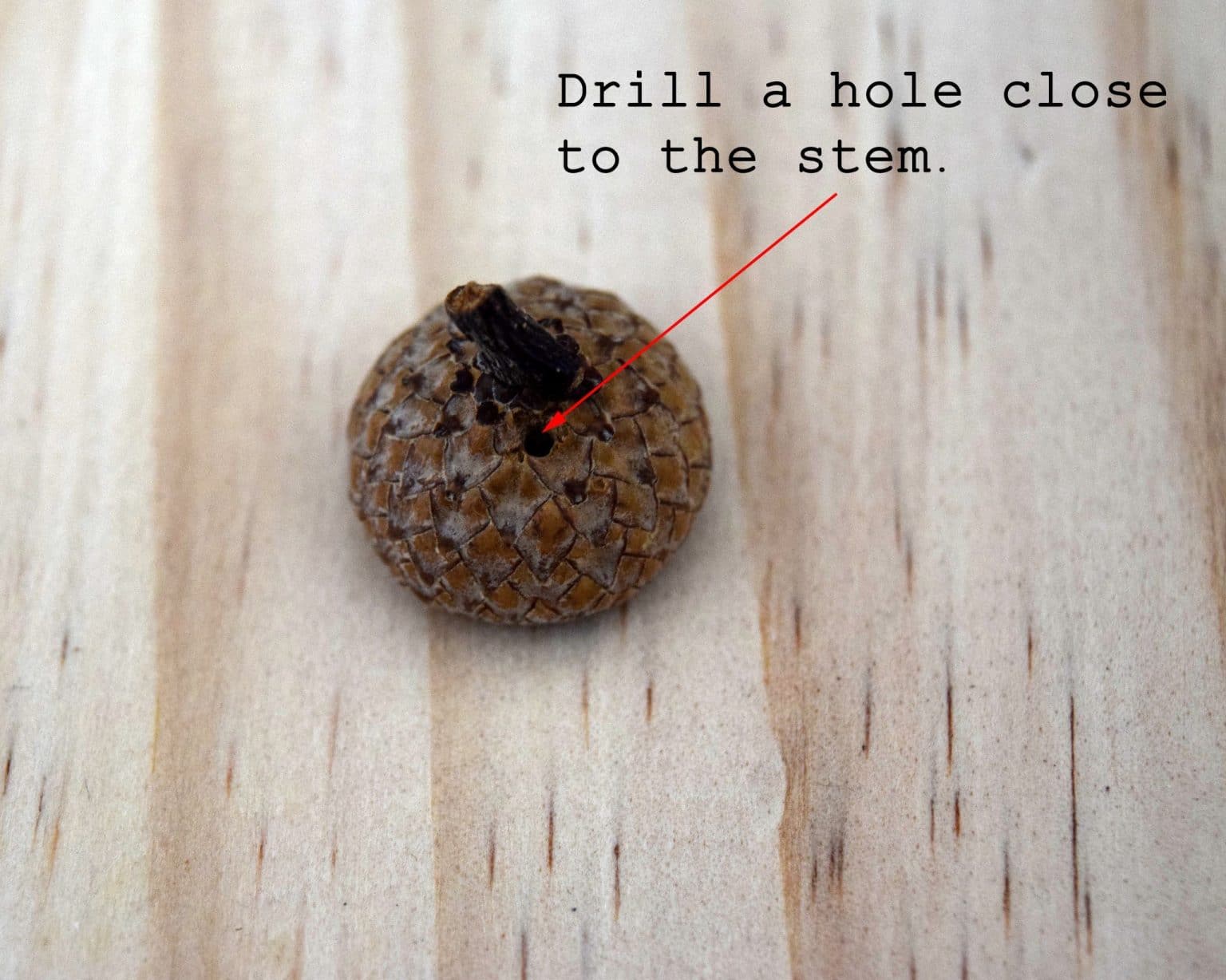 Needle Felted Acorns Tutorial · Nourish and Nestle