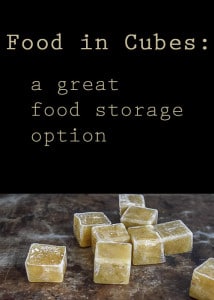 Cubed Food: A Great Food Storage Option · Nourish and Nestle