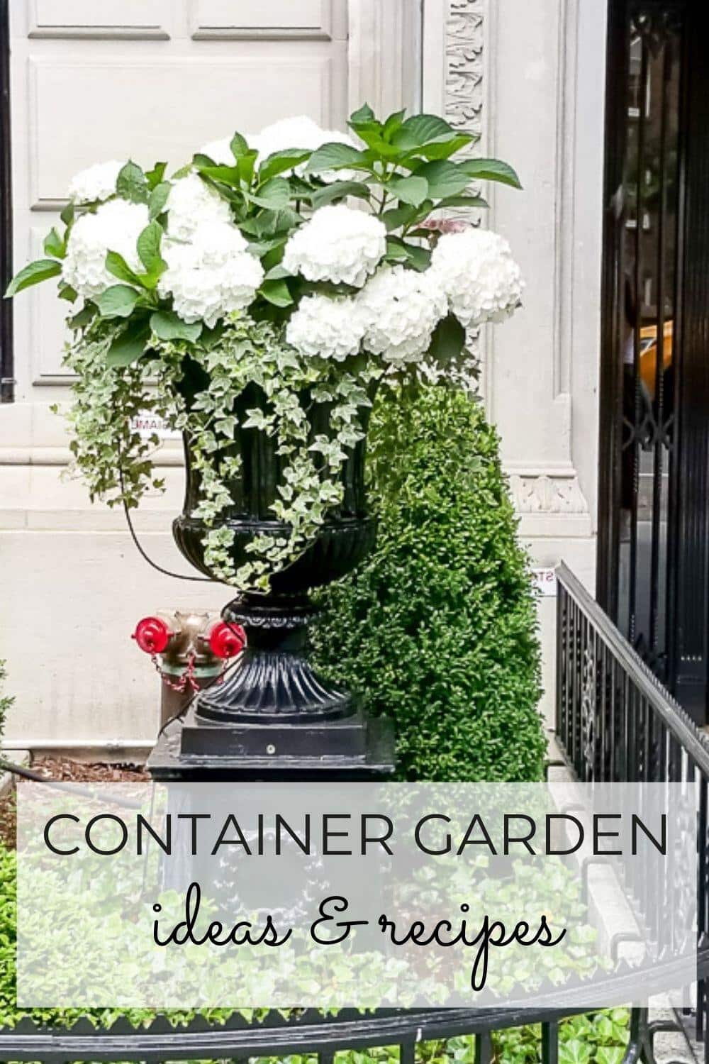 Container Garden Recipes #1 · Nourish and Nestle