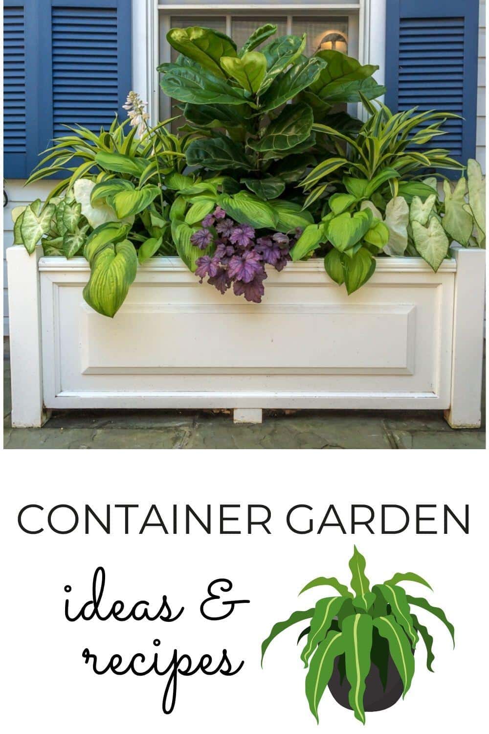 Container Garden Recipes #1 · Nourish and Nestle