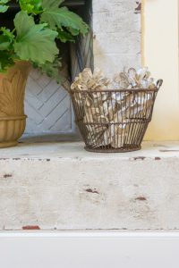DIY Oyster Shell Clusters: easy home decor · Nourish and Nestle