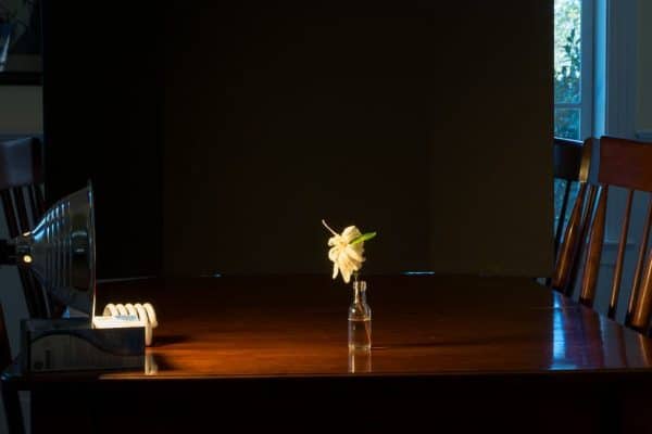 Make Art: Lighting for Floral Art Photography · Nourish and Nestle