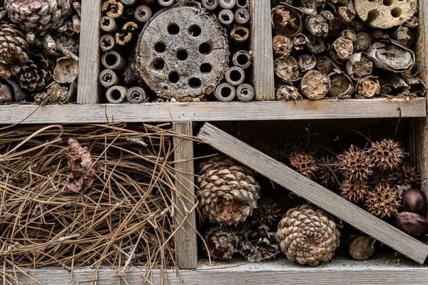How to Make a DIY Insect Hotel : an easy backyard project · Nourish and ...