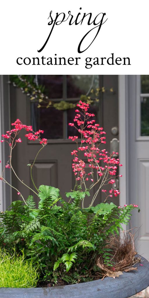 Spring Container Garden Idea · Nourish and Nestle