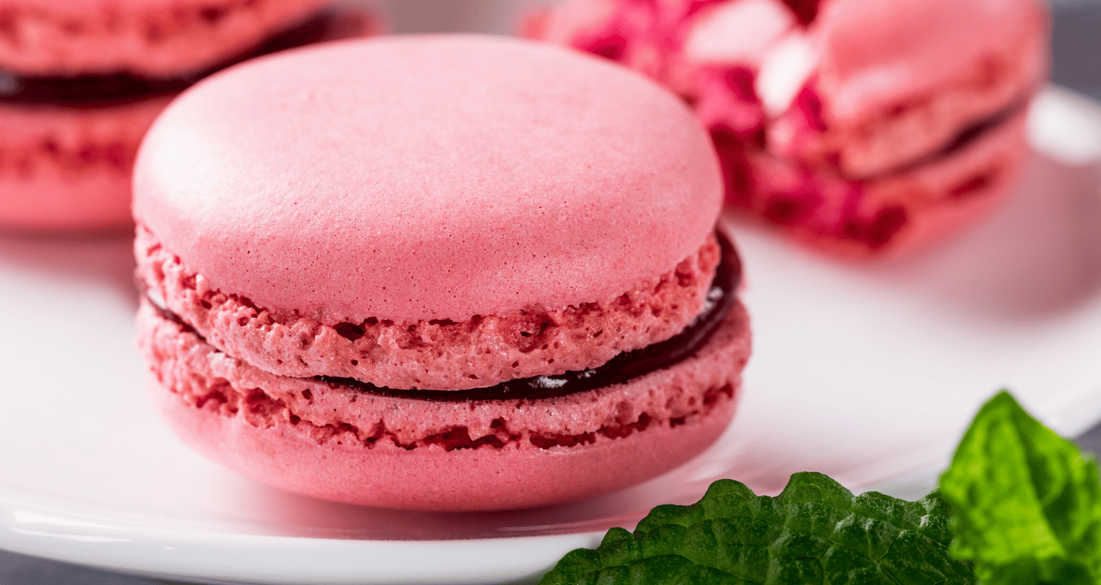 Raspberry Macarons Recipe with Chocolate Raspberry Ganache — Nourish and Nestle