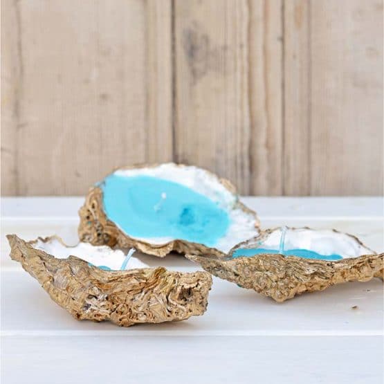 Ten Great DIY Oyster Shell Crafts · Nourish and Nestle