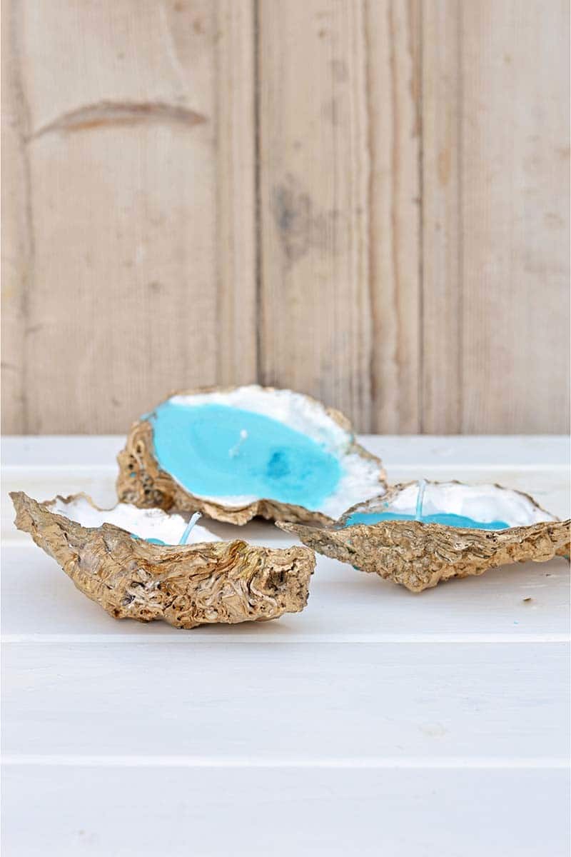 Ten Great DIY Oyster Shell Crafts · Nourish and Nestle