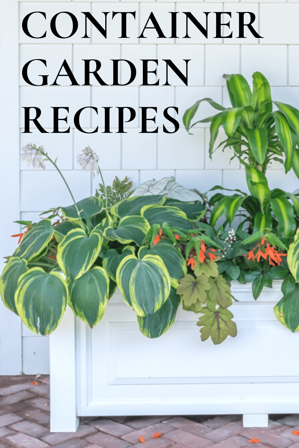 Container Garden Recipes #1 · Nourish and Nestle