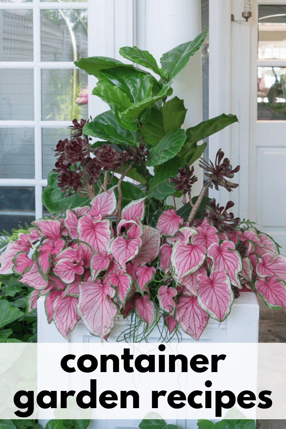 Container Garden Recipes #1 · Nourish and Nestle