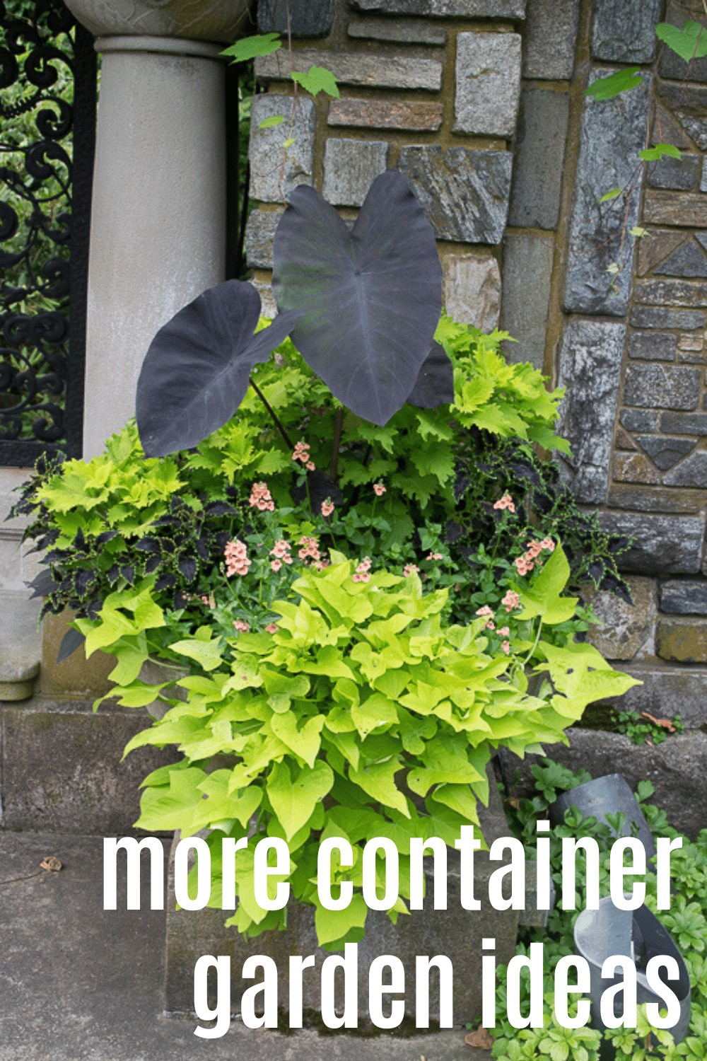 Container Garden Ideas: Inspiration and Recipes #2 · Nourish and Nestle