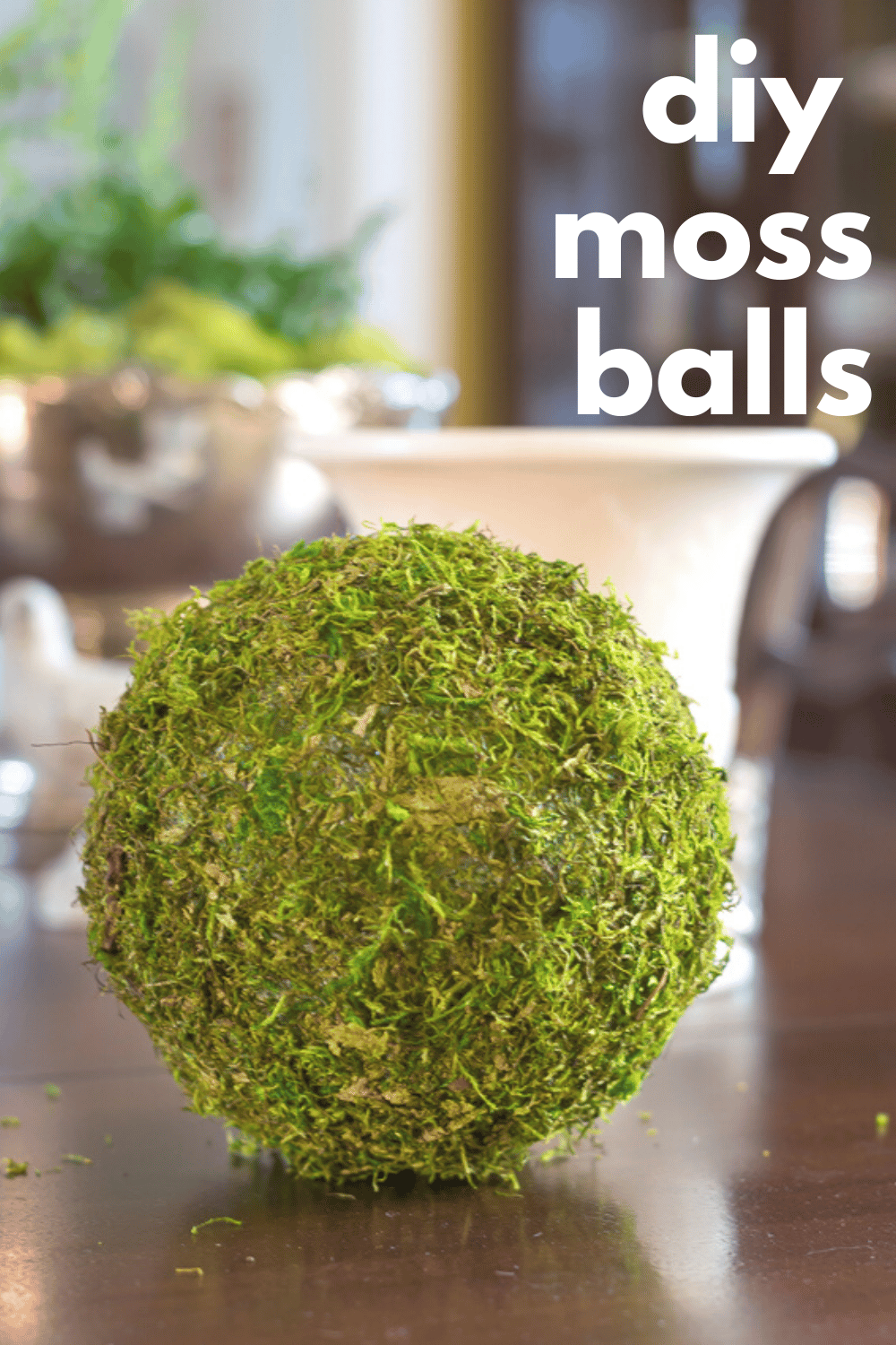 The EASIEST DIY Moss Balls · Nourish and Nestle