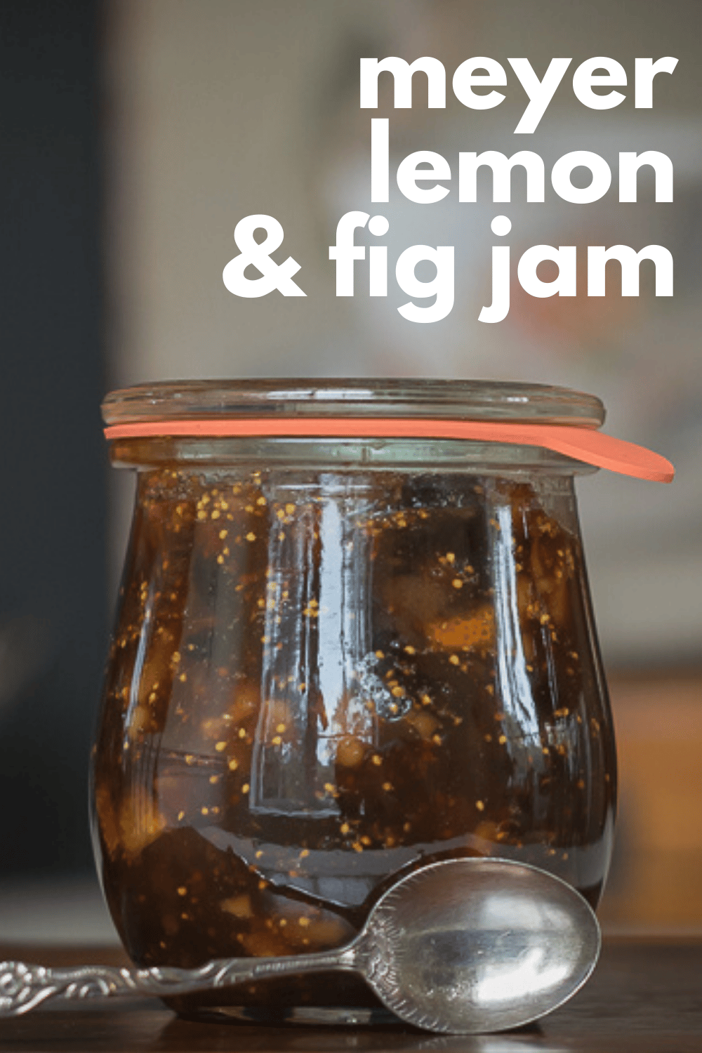Fig Conserve: A Chunky Fig Jam Recipe with Nuts · Nourish and Nestle