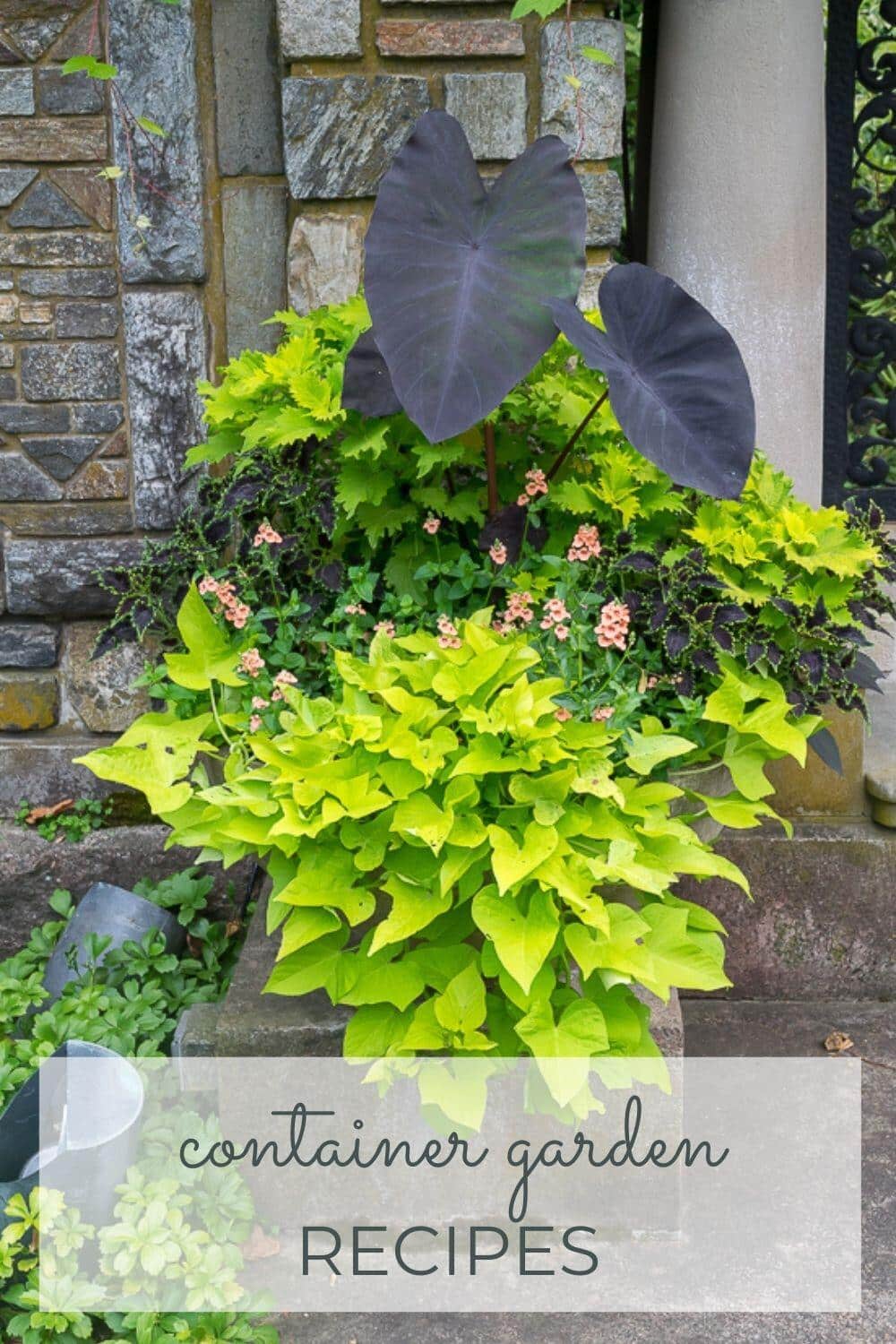 Container Garden Ideas: Inspiration and Recipes #2 · Nourish and Nestle