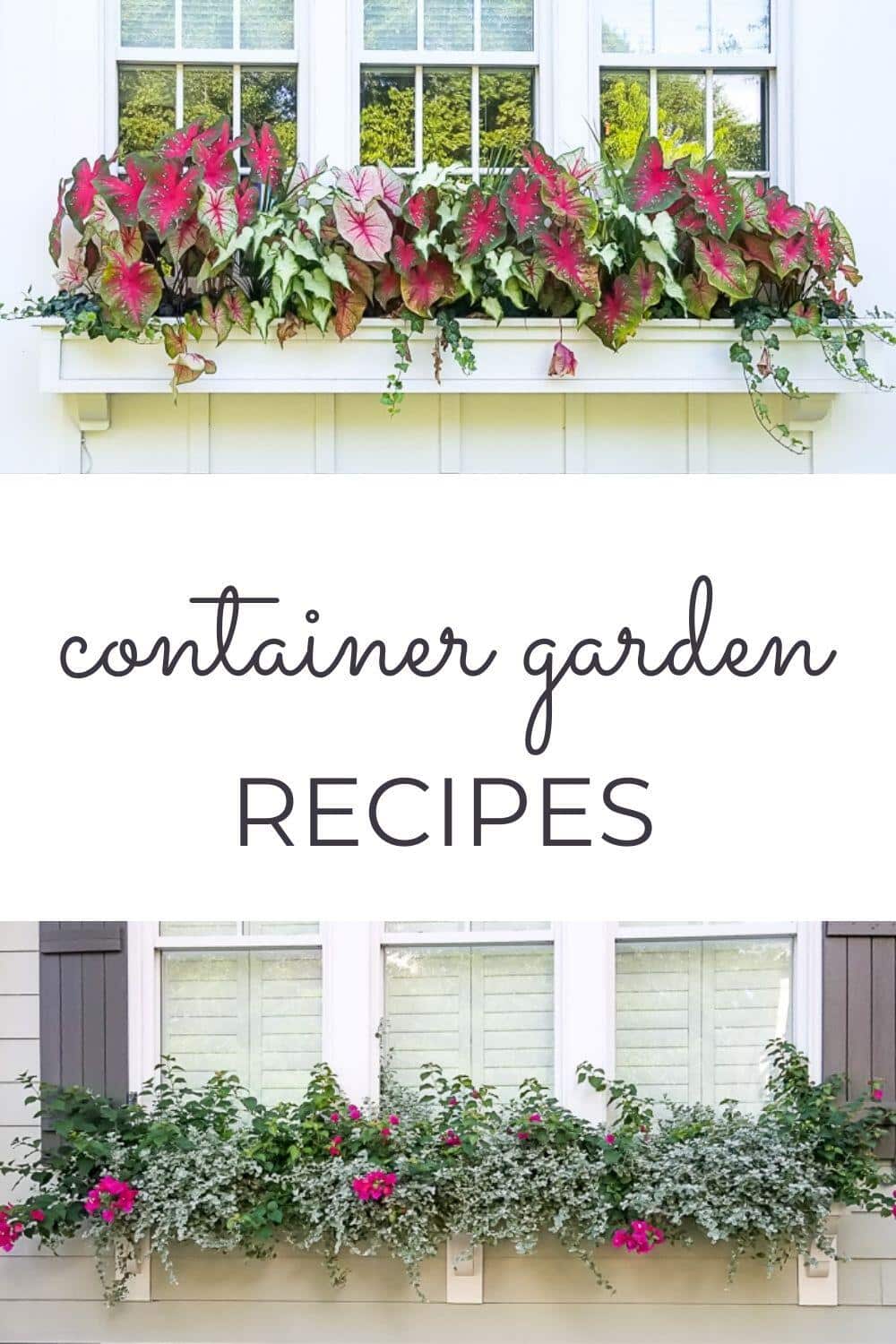 Container Gardening Ideas & Recipes #3 · Nourish and Nestle