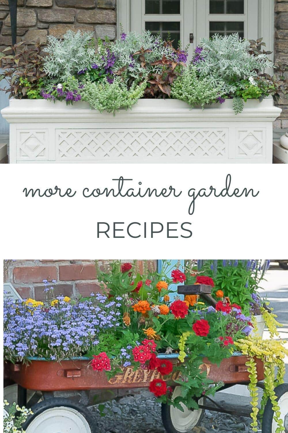 Container Garden Ideas: Inspiration and Recipes #2 · Nourish and Nestle