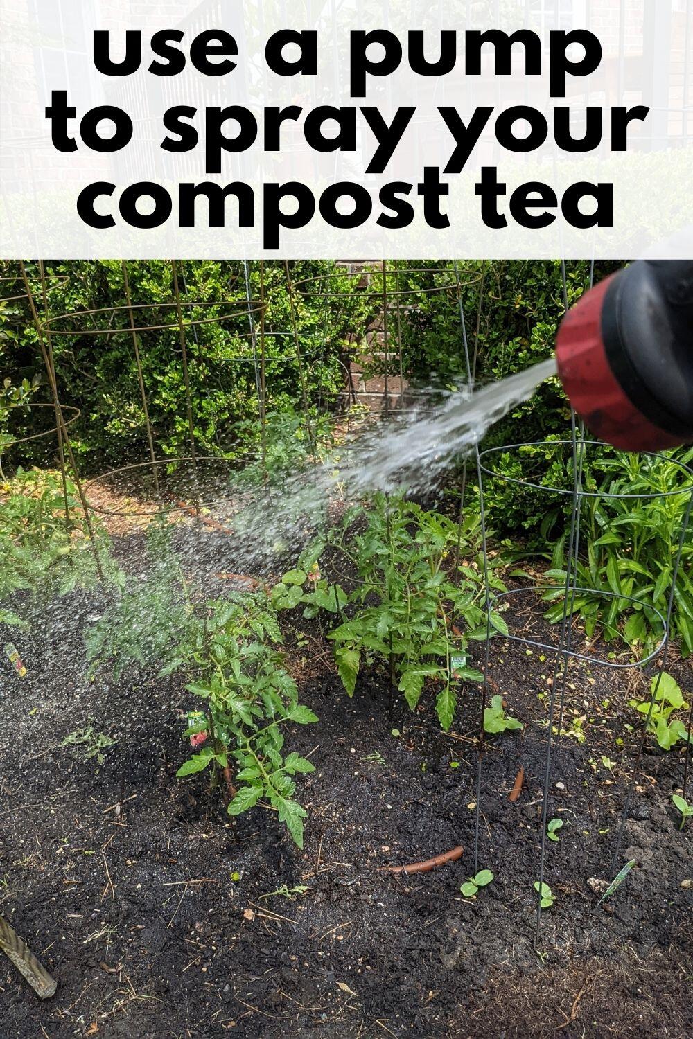 How to Make Compost Tea & Apply It · Nourish and Nestle