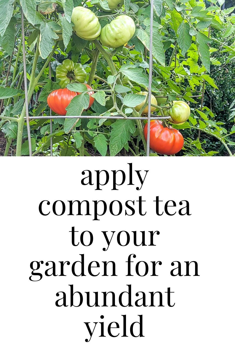 How to Make Compost Tea & Apply It · Nourish and Nestle