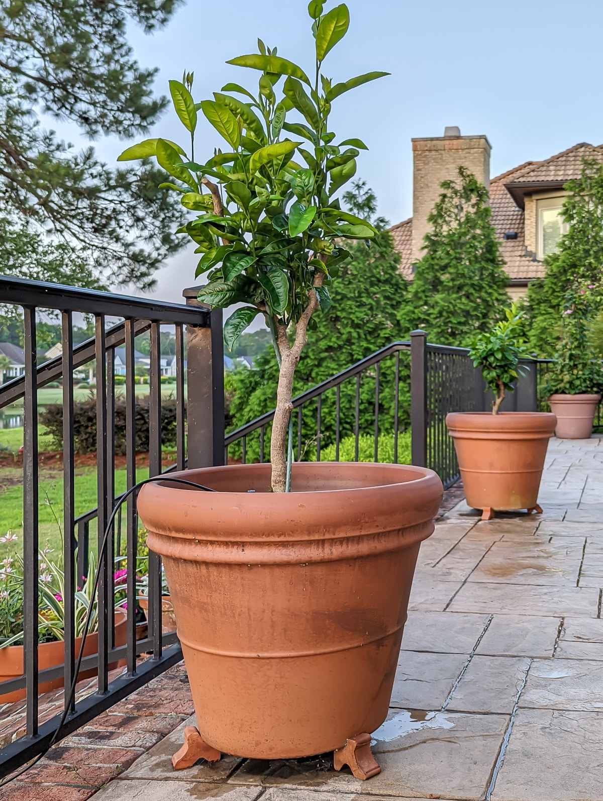 Tricks to Fill a Large Planter · Nourish and Nestle