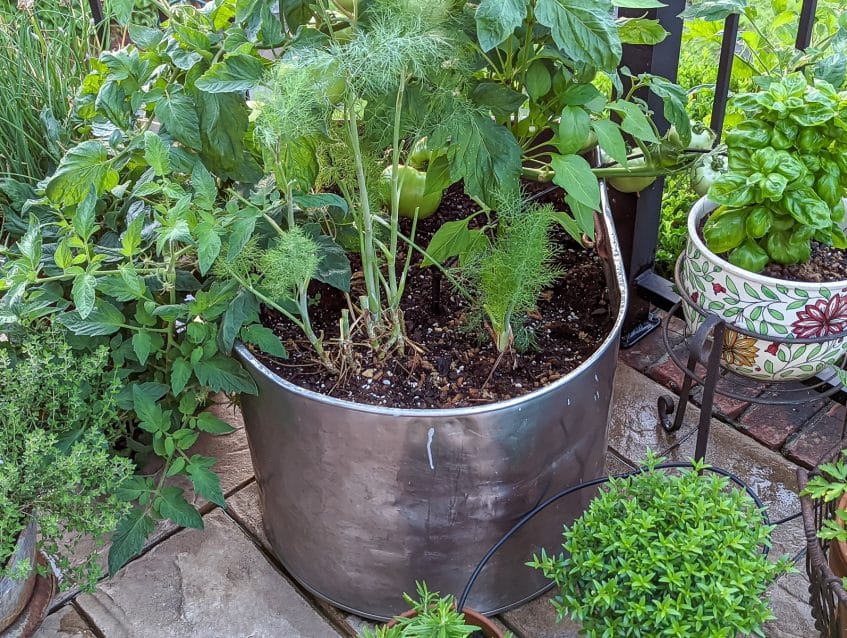 Tricks to Fill a Large Planter · Nourish and Nestle