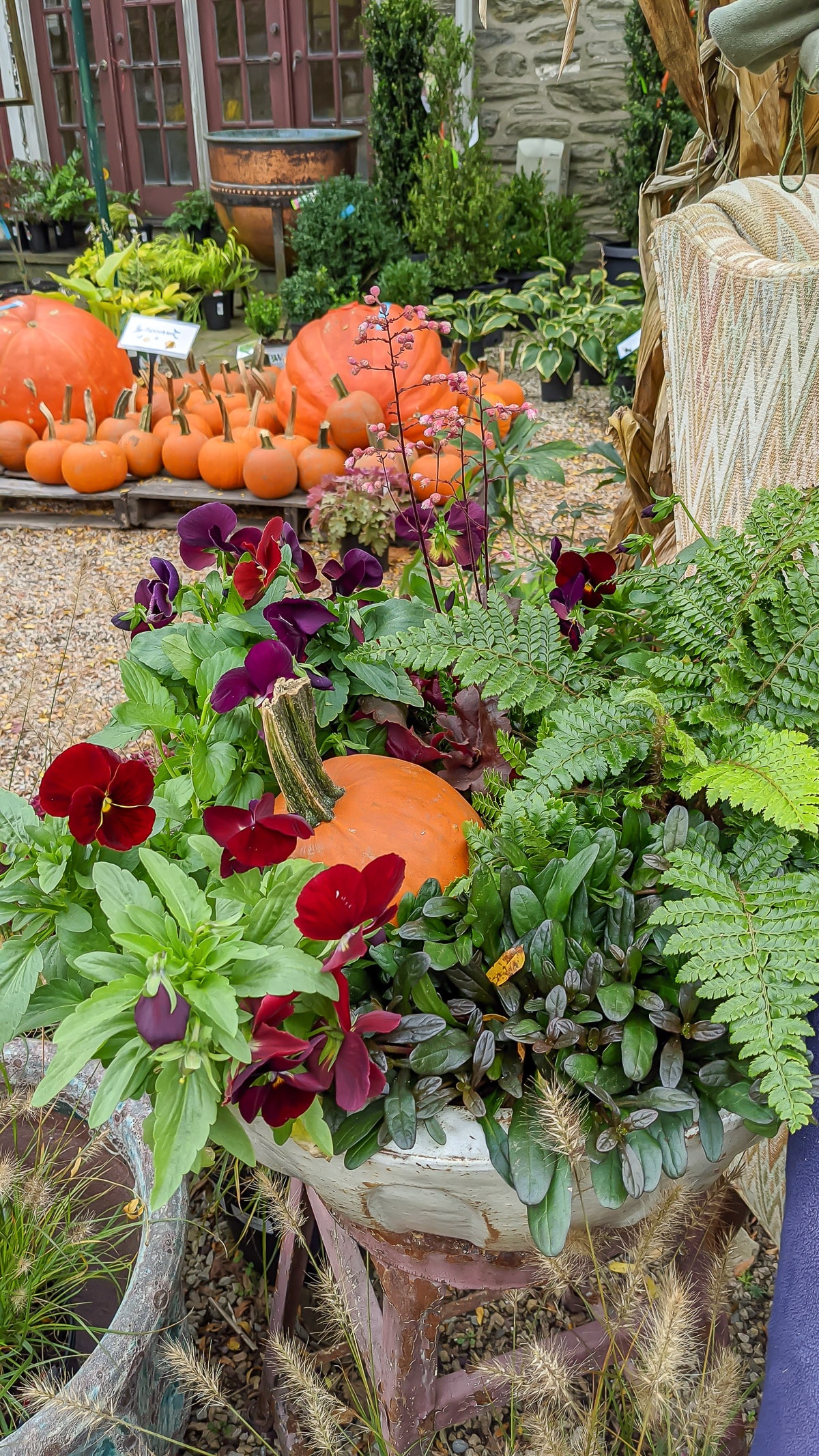 Fall Container Garden Ideas & Tips #1 · Nourish and Nestle
