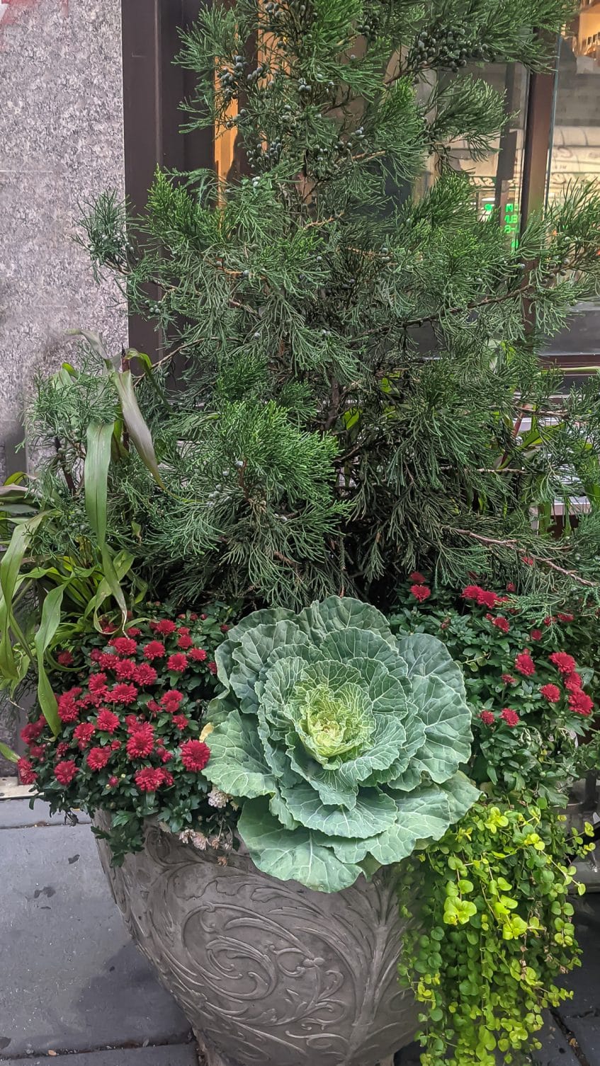 Fall Container Gardens and Window Boxes #2 · Nourish and Nestle