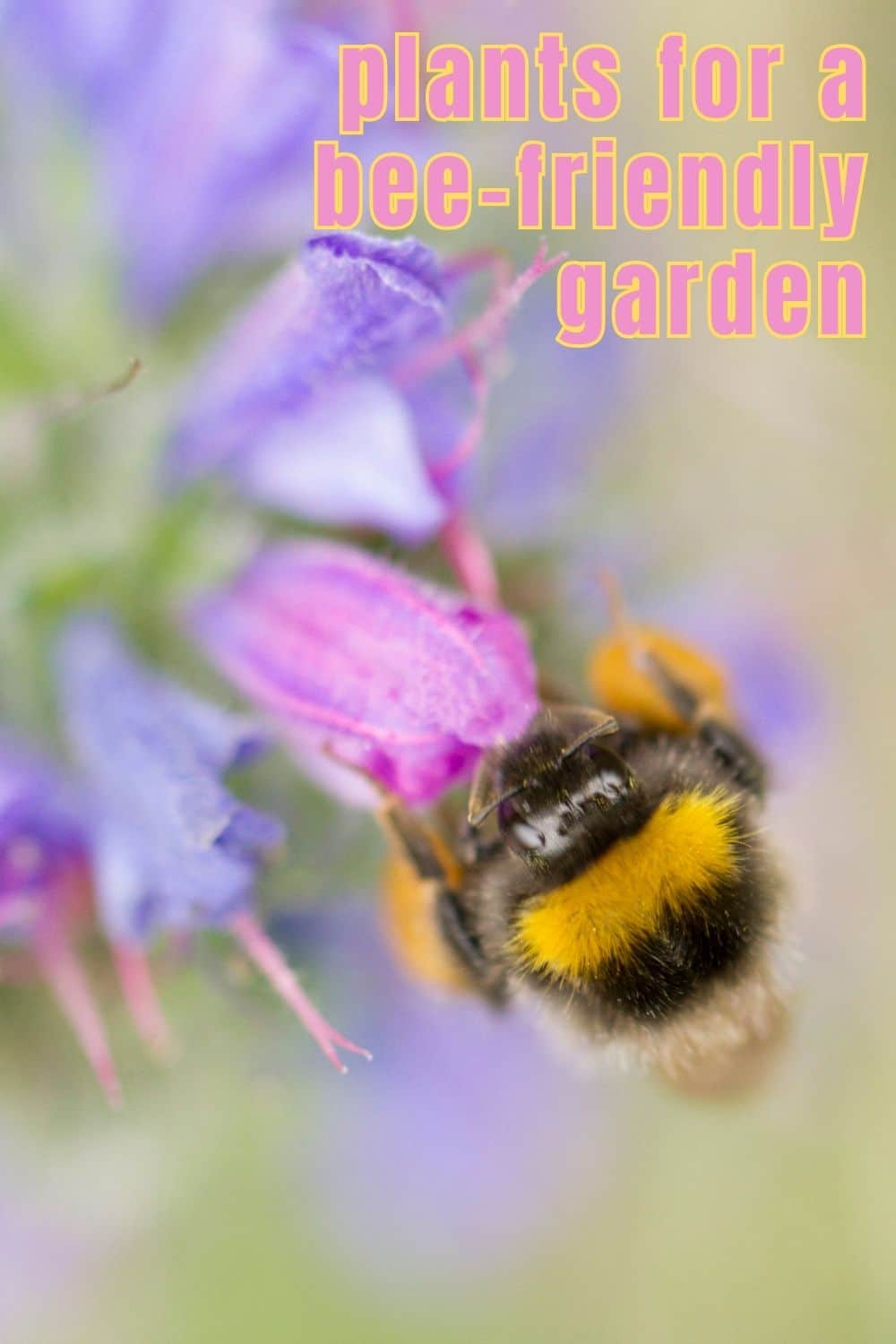 Flowers for Bees: Make a Bee Friendly Garden · Nourish and Nestle