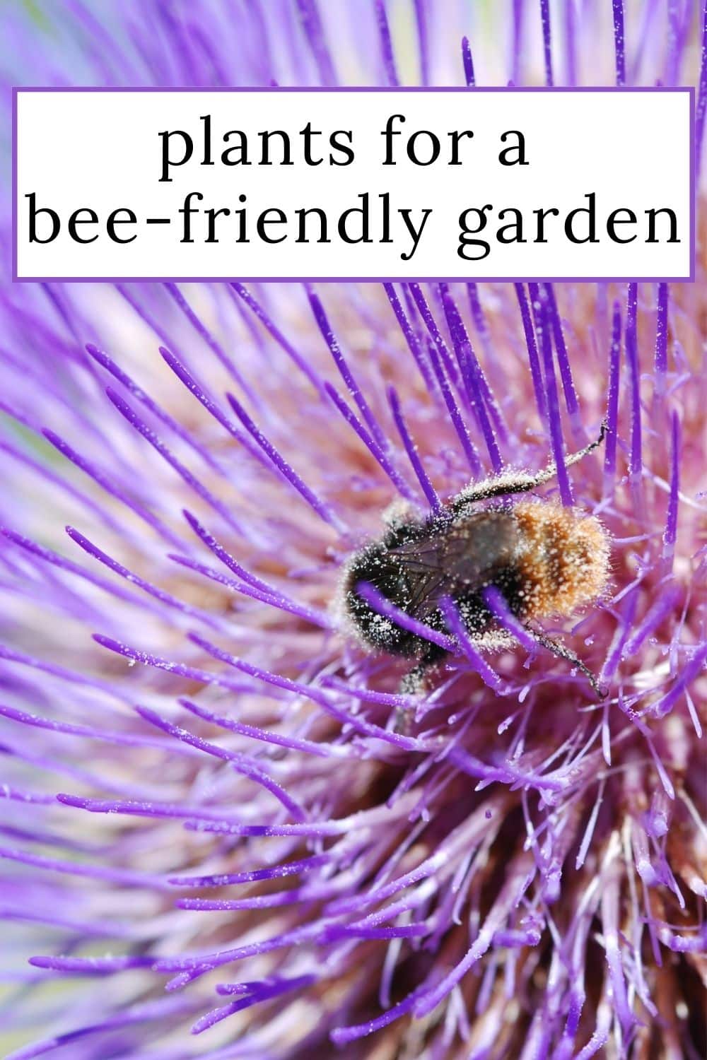 Flowers for Bees: Make a Bee Friendly Garden · Nourish and Nestle
