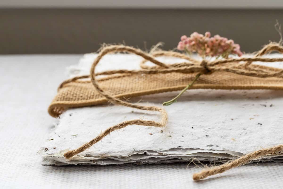 how to make seed paper · Nourish and Nestle