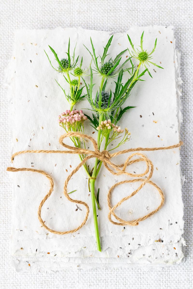 how to make seed paper · Nourish and Nestle