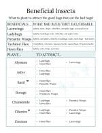 Beneficial Insects in The Garden · Nourish and Nestle