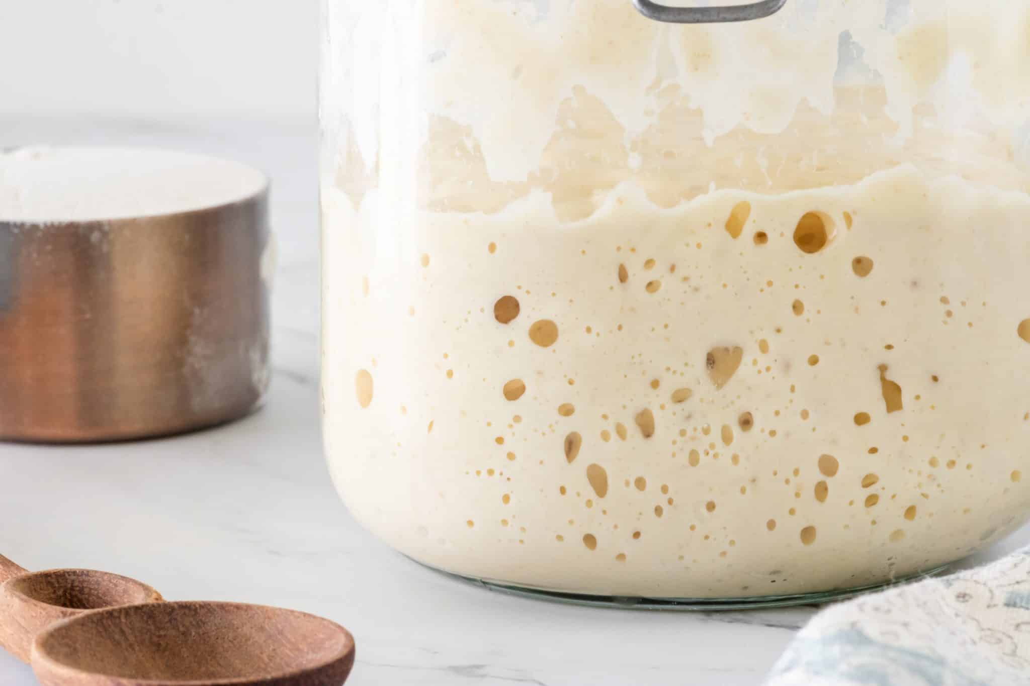 How to Make a Sourdough Starter · Nourish and Nestle
