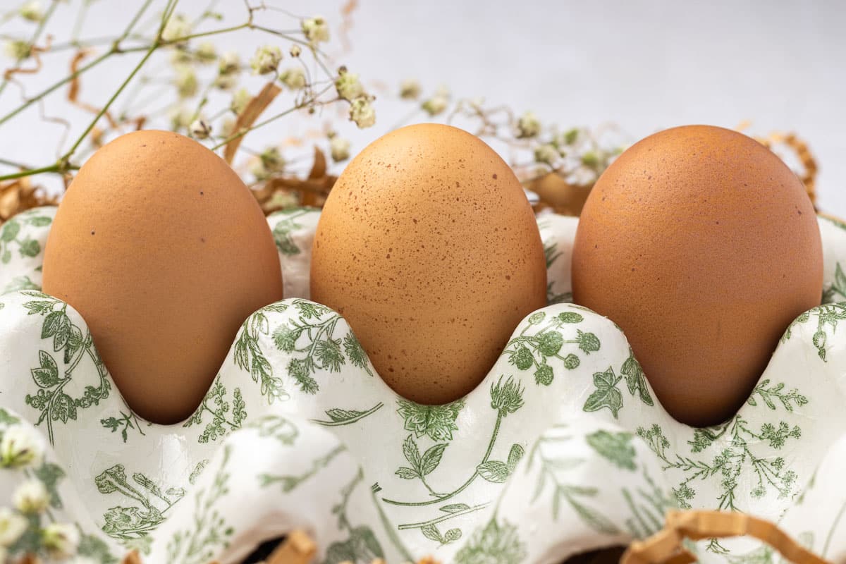 Ceramic Egg Tray: How to Make a Clay Egg Tray with Polymer Clay ...