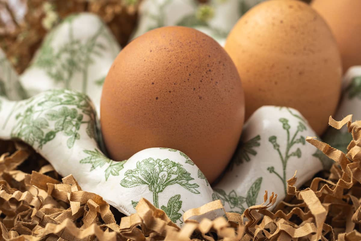 Ceramic Egg Tray: How to Make a Clay Egg Tray with Polymer Clay ...