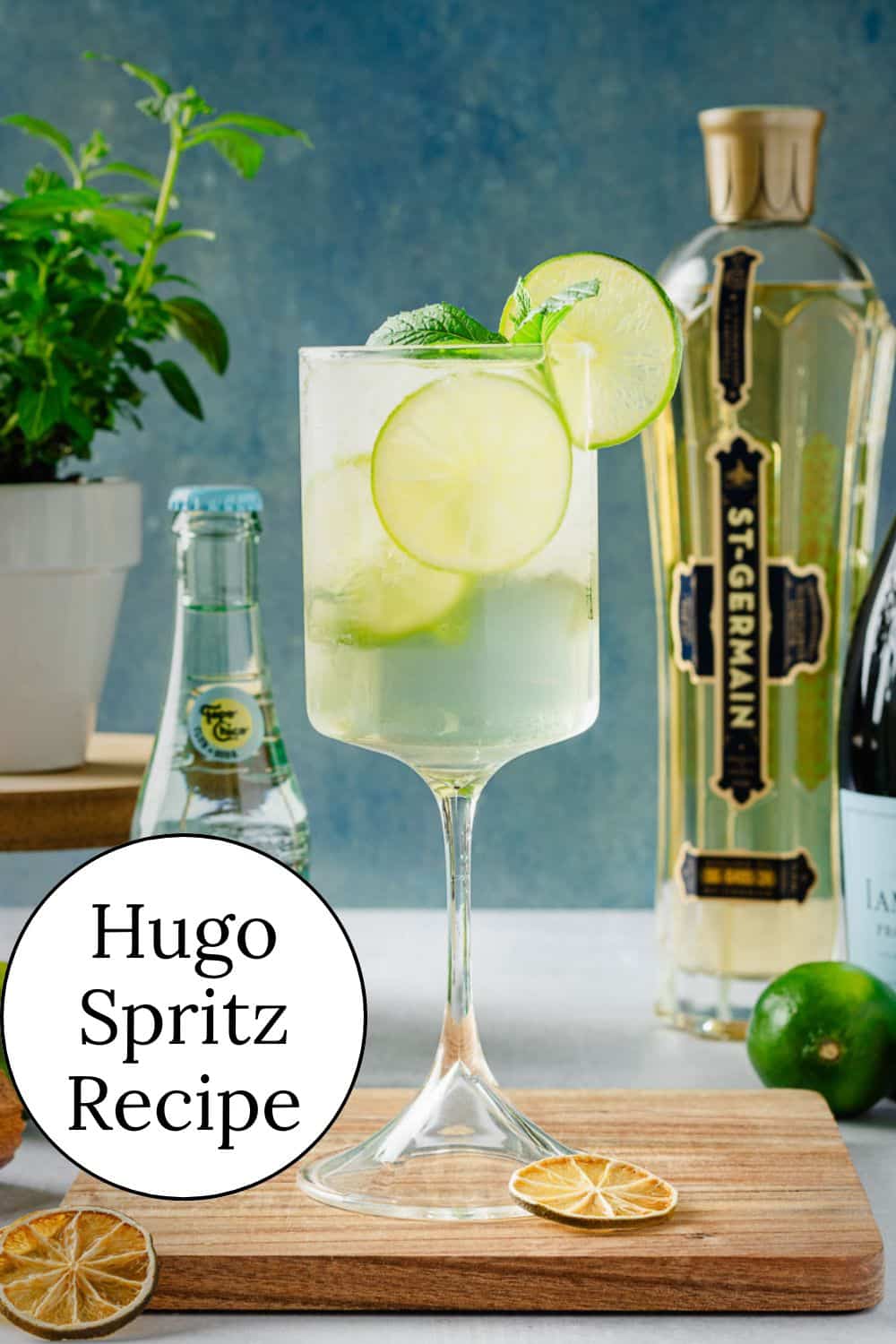 Hugo Spritz Recipe · Nourish and Nestle