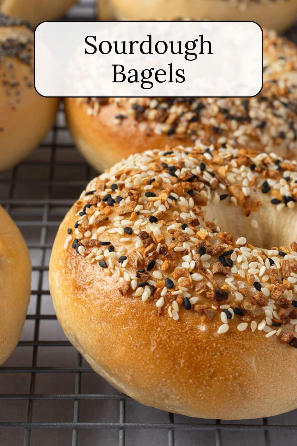 Sourdough Bagels Recipe · Nourish and Nestle